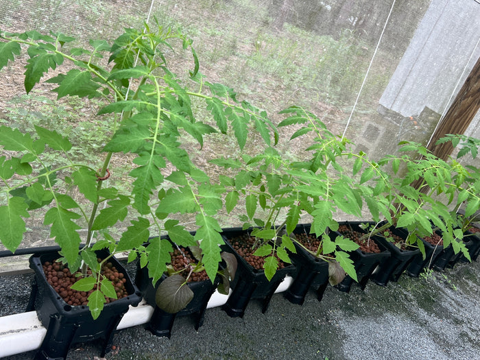 Shop Hydroponics Supplies - HydroLand Australia