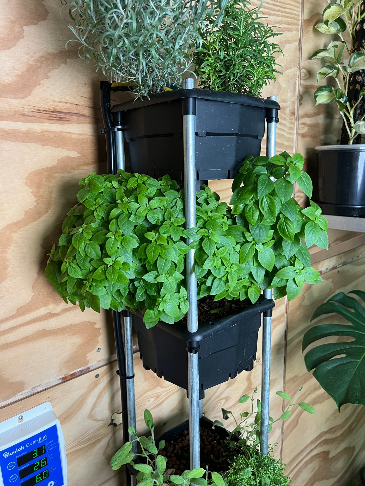 Shop Hydroponics Supplies - HydroLand Australia