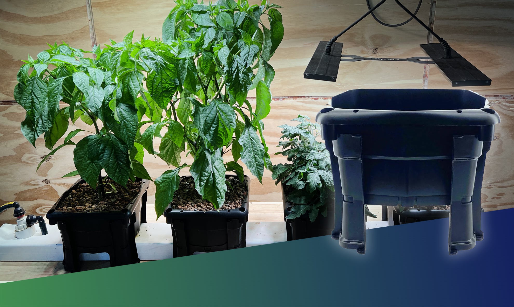 Shop Hydroponics Supplies - HydroLand Australia