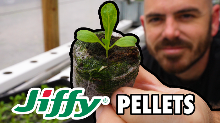 Jiffy-7 42mm Peat Pellet (Pack of 25) | Hydroponic Propagation